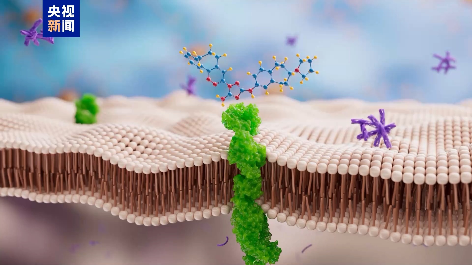 重要突破！中国团队发现帕金森全新治疗靶点-国内国际